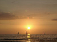 Digital Image Pro 9 > 色合いを思い通りに調整したい