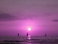 Digital Image Pro 9 > 色合いを思い通りに調整したい